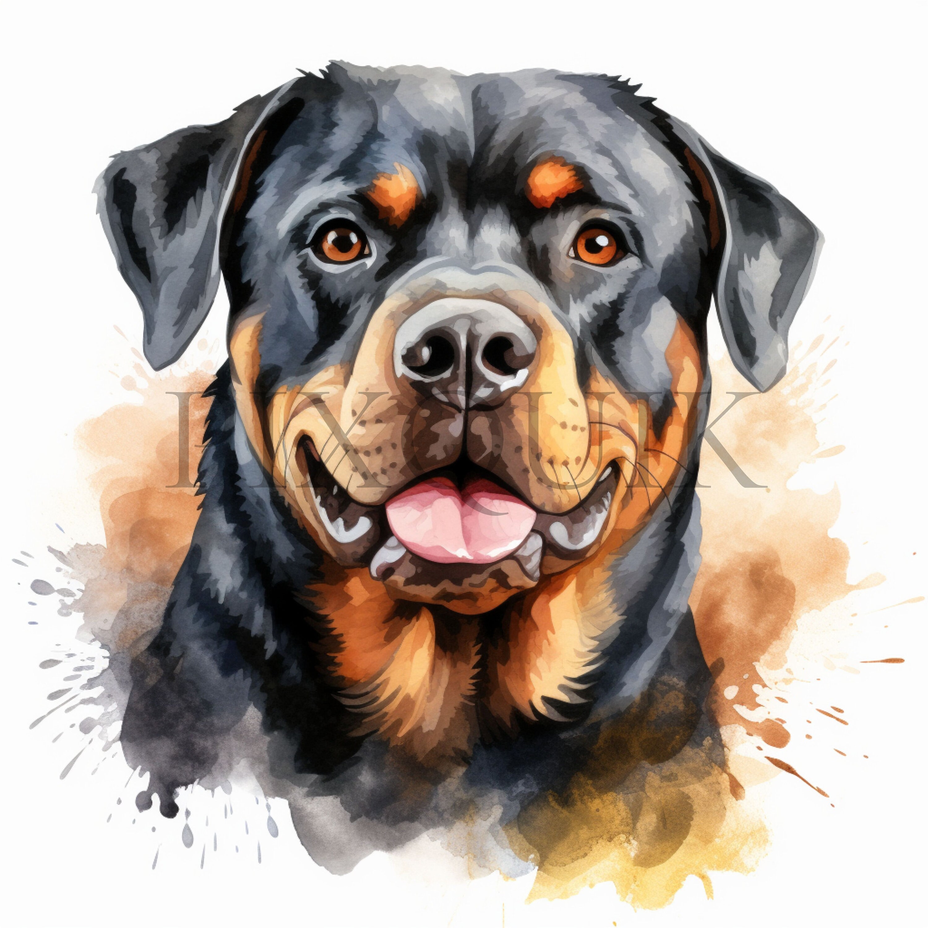 Watercolor Rottweiler Clipart 10 High Quality Jpgs Digital Download ...