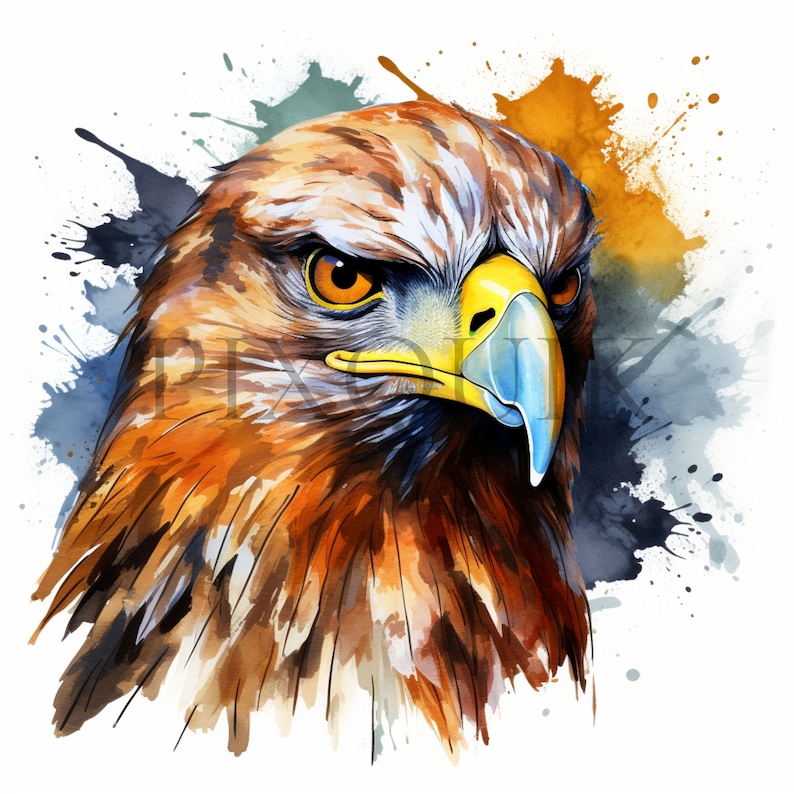 Watercolor Eagle Clipart 10 High-quality Jpgs Digital Download Eagle ...