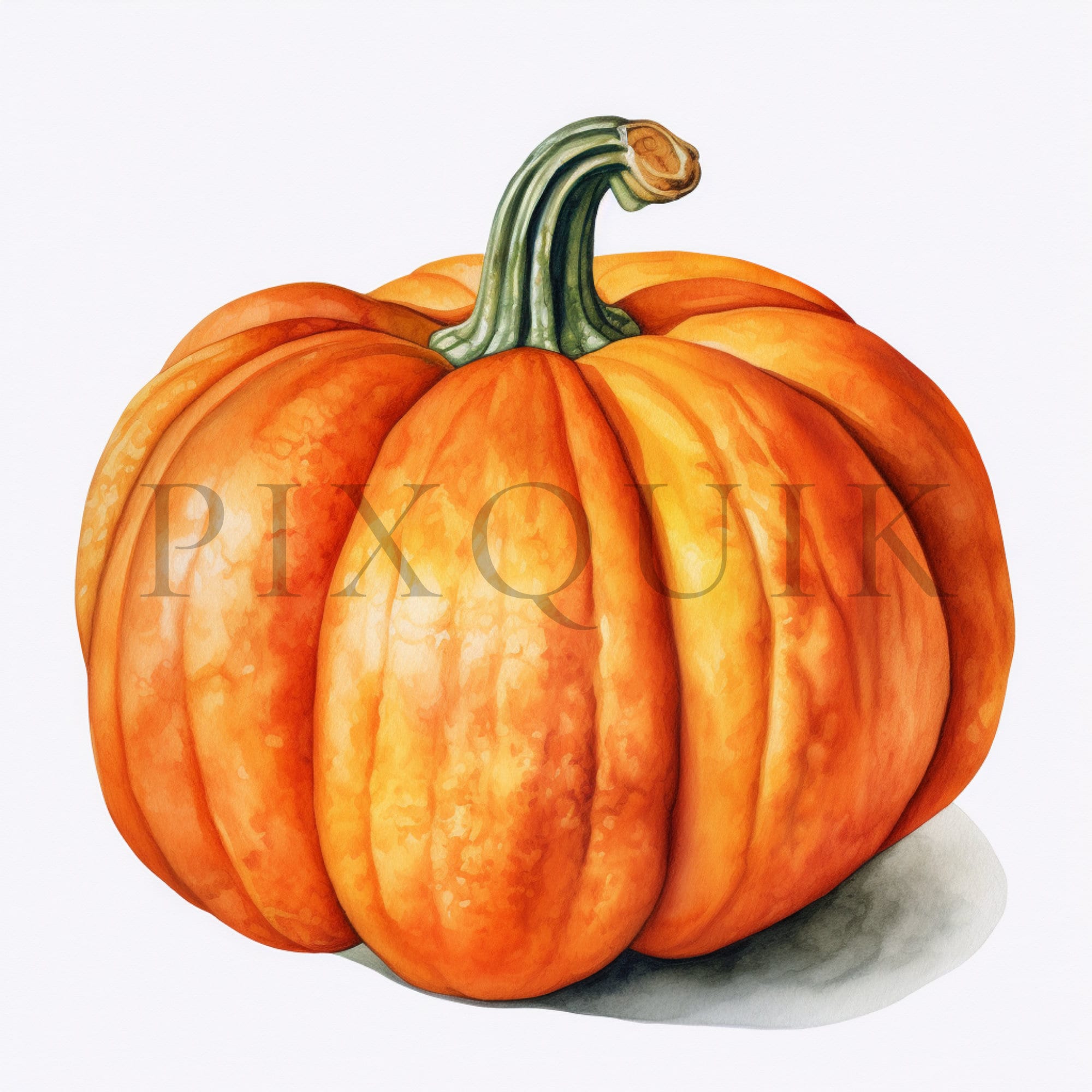 Watercolor Pumpkin Clipart | Fall Autumn Graphics (digital Download) - Etsy