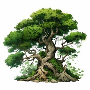Yew Tree Clipart | Yew | 10 High Quality JPG | Yew Illustration | Tree ...