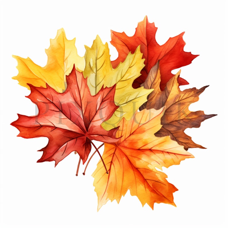 Watercolor Autumn Leaves Clipart – Fall Scrapbooking Graphics (digital ...