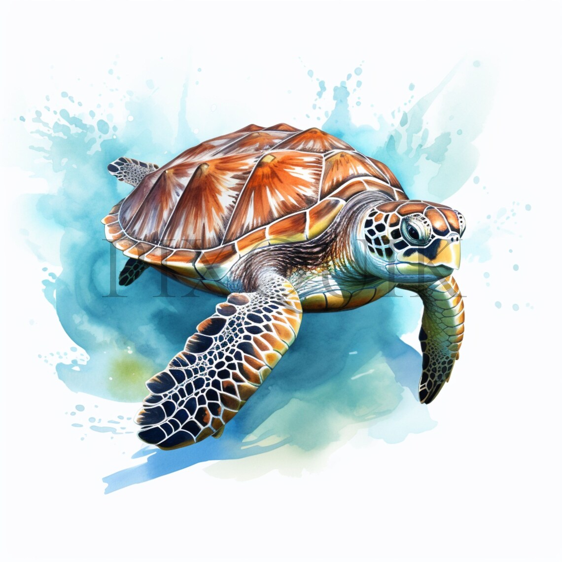 Watercolor Turtle Clipart 10 High-quality Jpgs Sea Turtle Digital ...