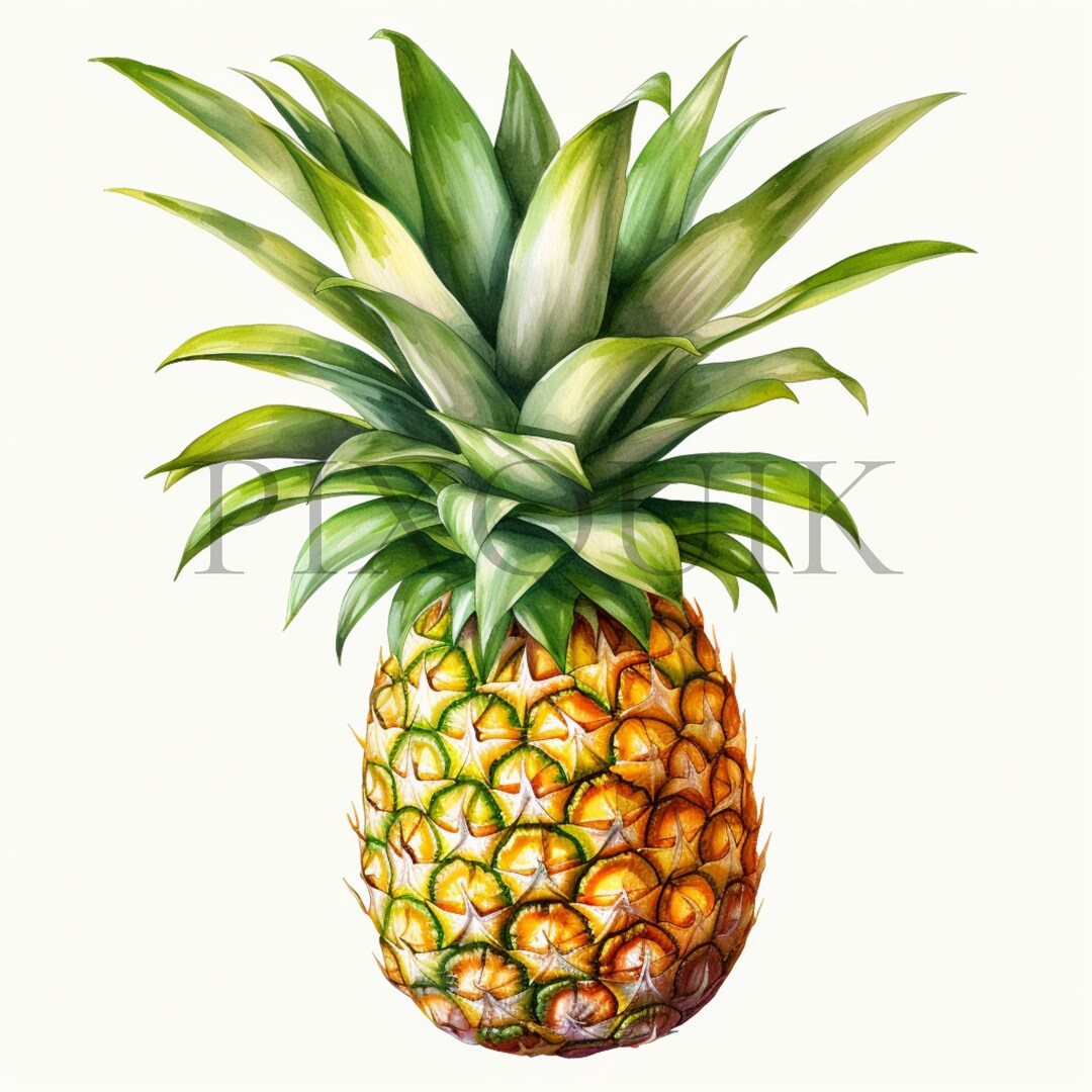 Watercolor Pineapple Clipart | 10 High Quality Jpgs | Fruit Clipart ...
