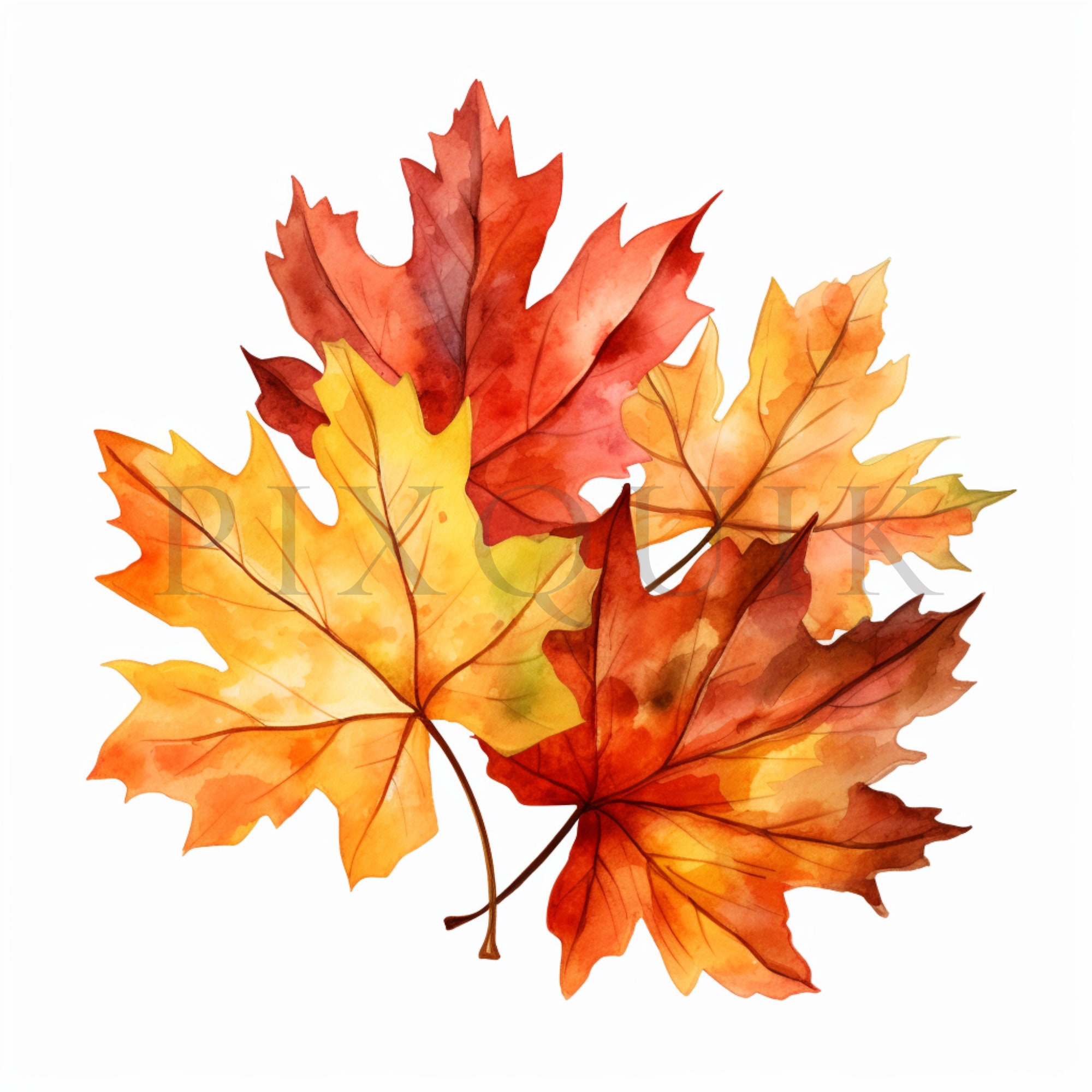 Autumn Leaves Clipart 10 High Quality Jpgs Digital Download Autumn ...
