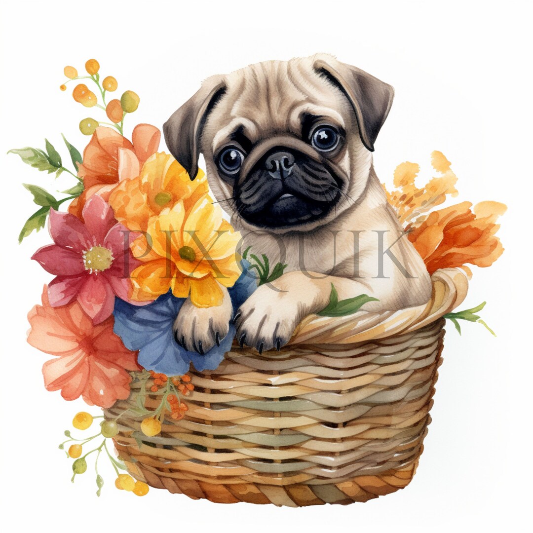 Pug Clipart | 10 High Quality Jpgs | Puppy Clipart | Cute Pug With ...