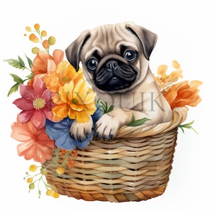 Pug Clipart | 10 High Quality Jpgs | Puppy Clipart | Cute Pug With ...