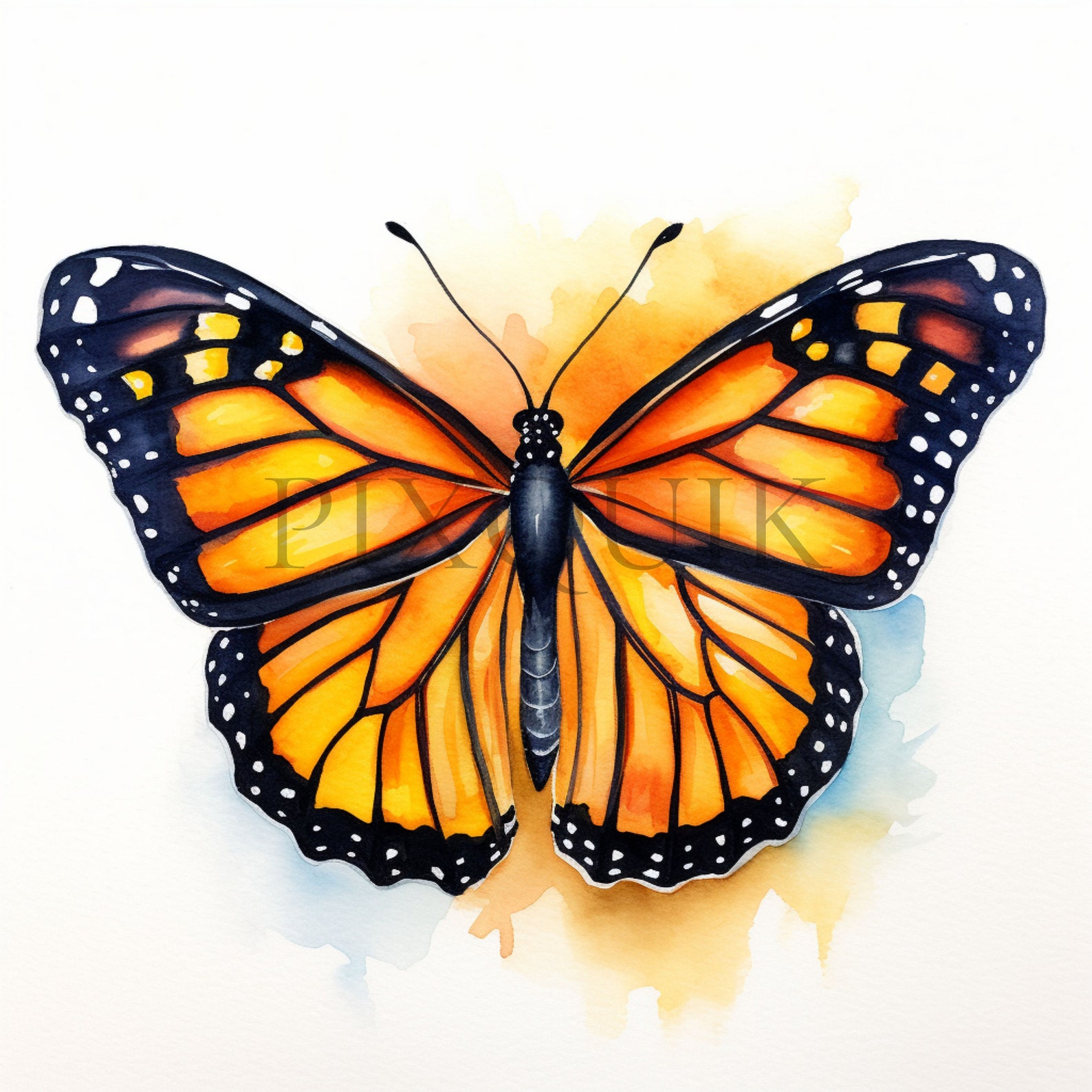 Watercolor Monarch Clipart 10 High Quality Jpgs Monarch Butterfly ...