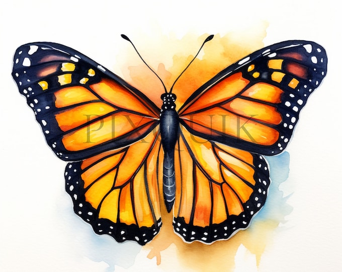 Monarch Butterfly Clipart, Flowers Clipart, 15 JPG Files With White ...