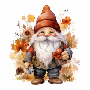 Thanksgiving Gnome Clipart | Fall Gnomes Jpgs (digital Download) - Etsy