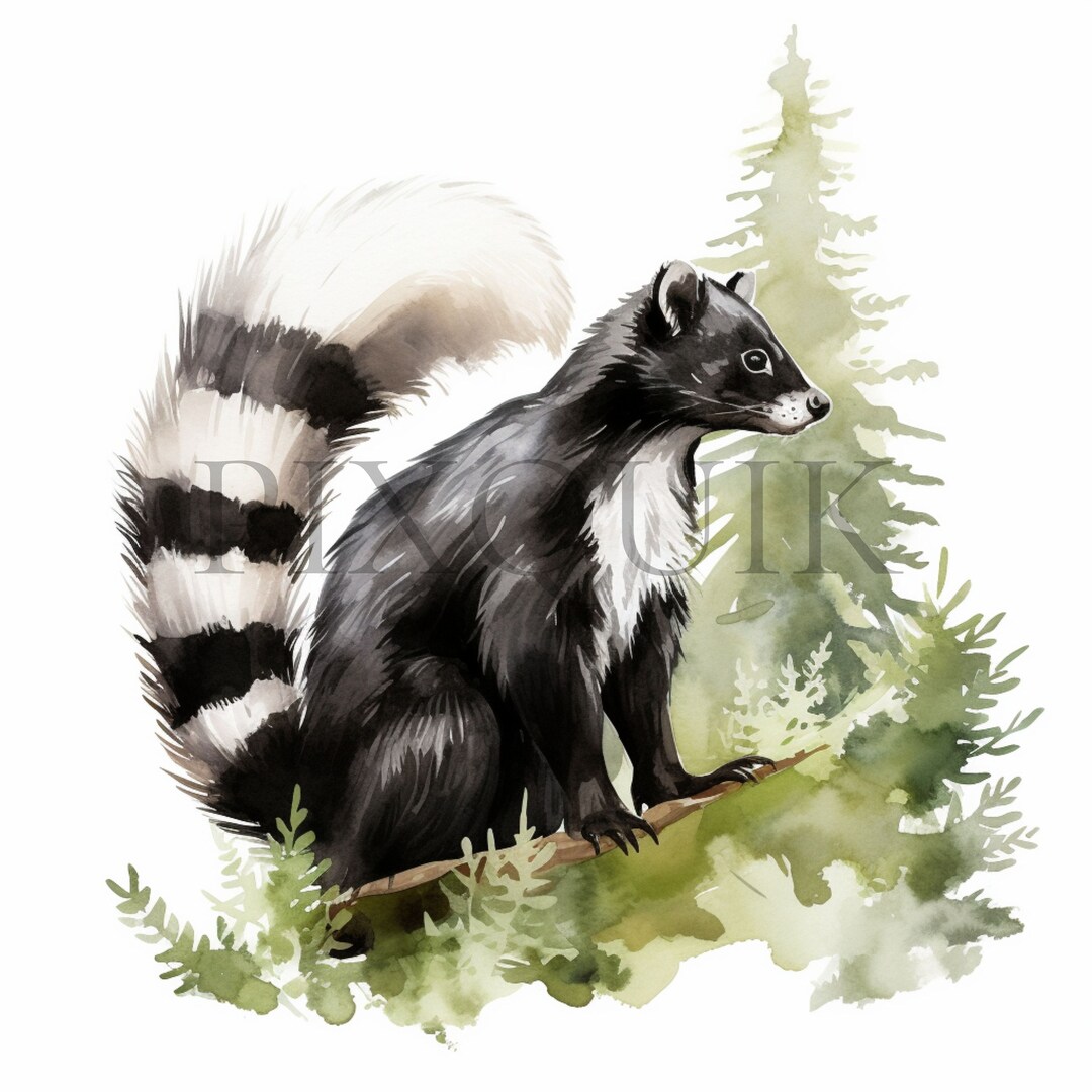 Skunk Clipart | Woodland Animal Clipart | 10 High Quality JPG | Cute ...
