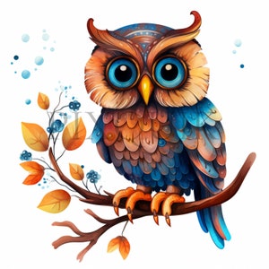 Whimsical Owl Clipart | Colorful Bird Illustration (jpgs) - Etsy
