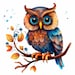 Whimsical Owl Clipart | Colorful Bird Illustration (jpgs) - Etsy