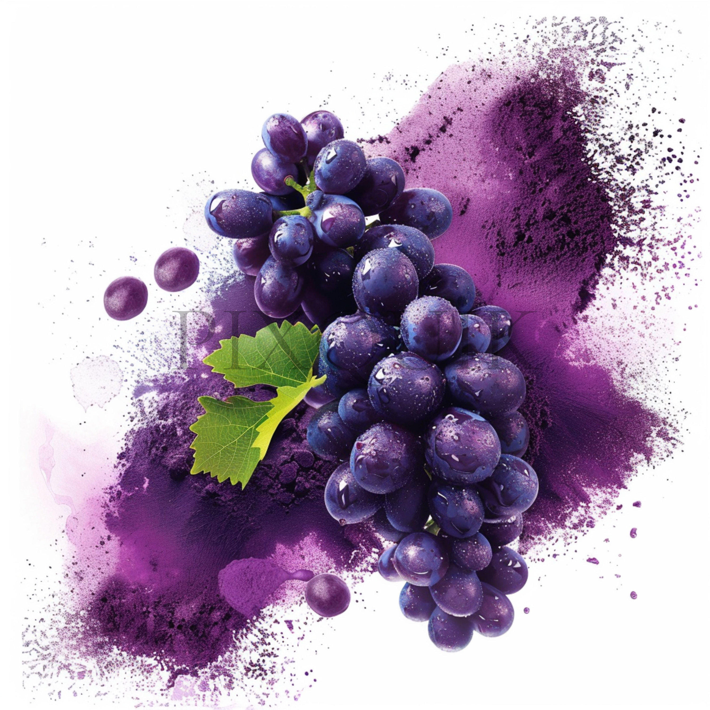 Watercolor Grapes Clipart | 10 Jpgs, Commercial Use (instant Download ...