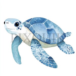 Watercolor Sea Turtle Clipart: Ocean Life Illustration (10 JPG & PNG ...