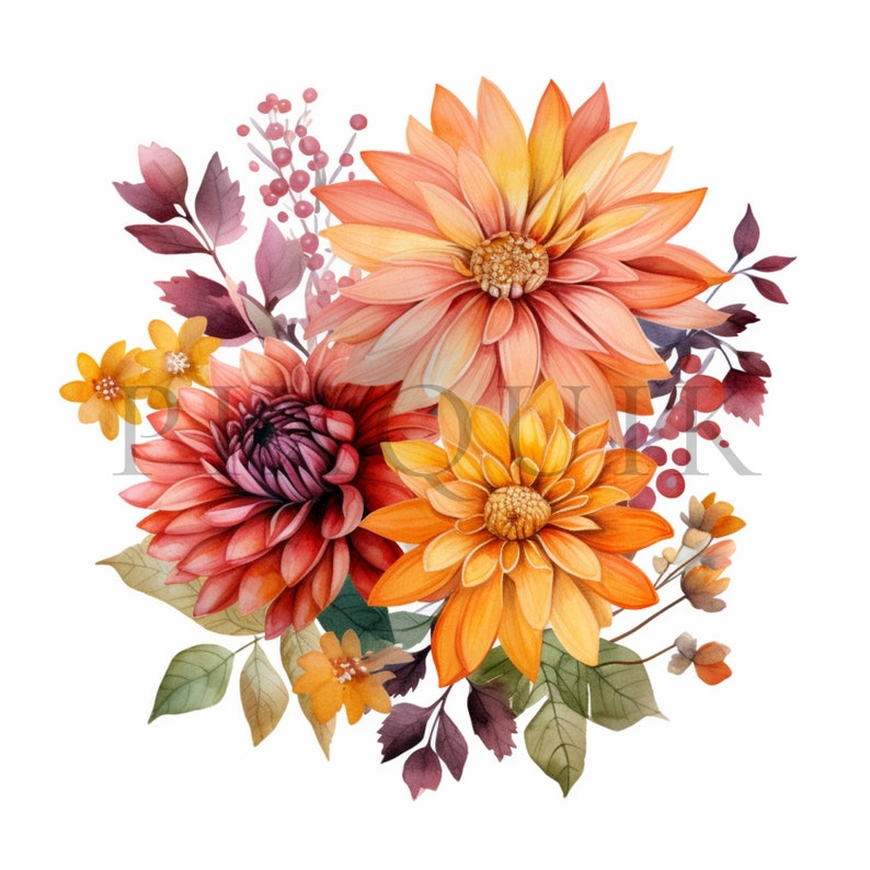 Autumn Flowers Clipart 10 High Quality Jpgs Digital Download Autumn ...