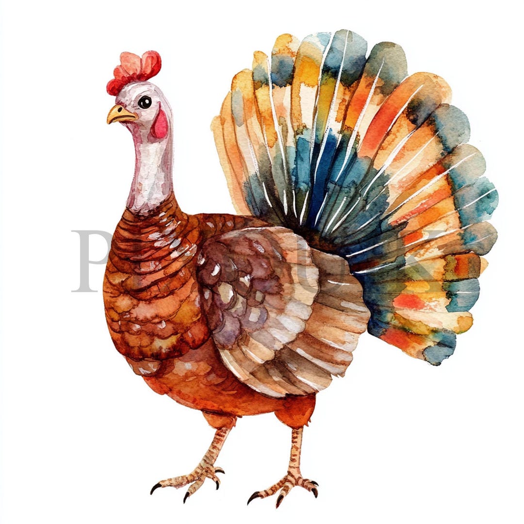 Autumn Turkey Clipart | 10 High Quality Jpg's | Thanksgiving Turkey ...