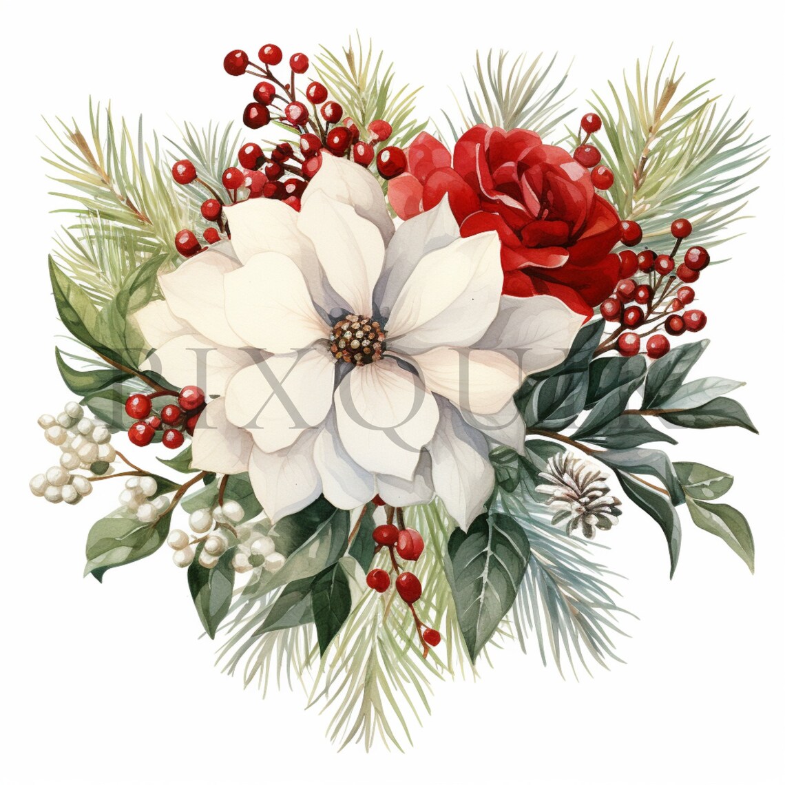 Holiday Poinsettia Clipart | Christmas Floral JPG (digital Download) - Etsy