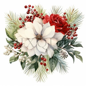 Holiday Poinsettia Clipart | Christmas Floral JPG (digital Download) - Etsy