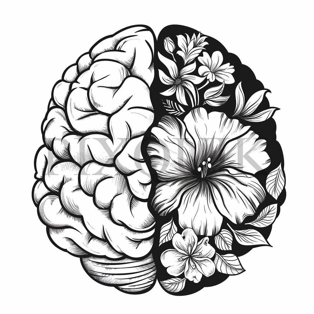 Stylized Human Brain Clipart | High-quality Jpgs and PNG | Digital ...