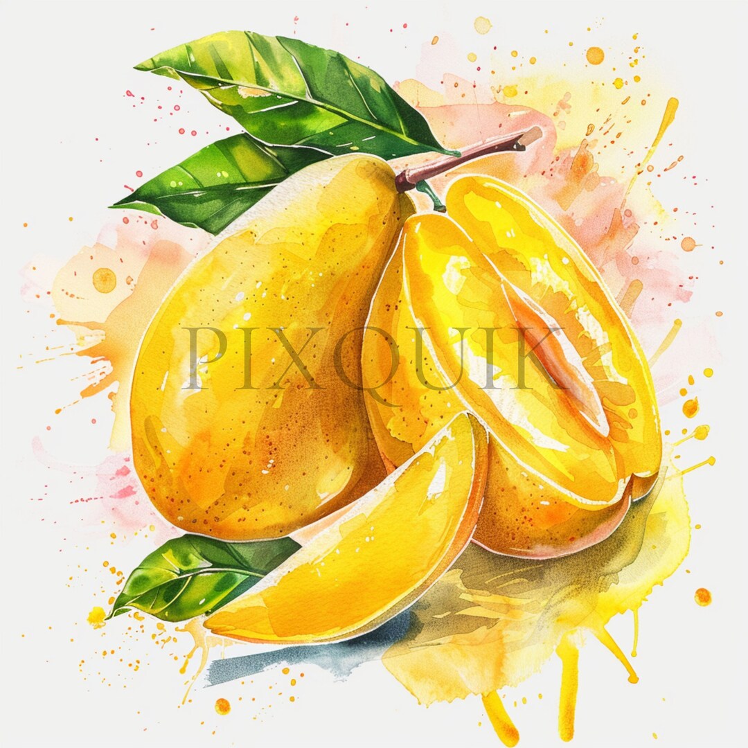 Watercolor Mango Clipart 10 High Quality JPG Citrus Fruits Commercial ...