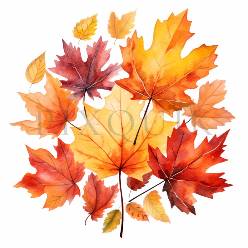 Autumn Leaves Clipart 10 High Quality Jpgs Digital Download Autumn ...