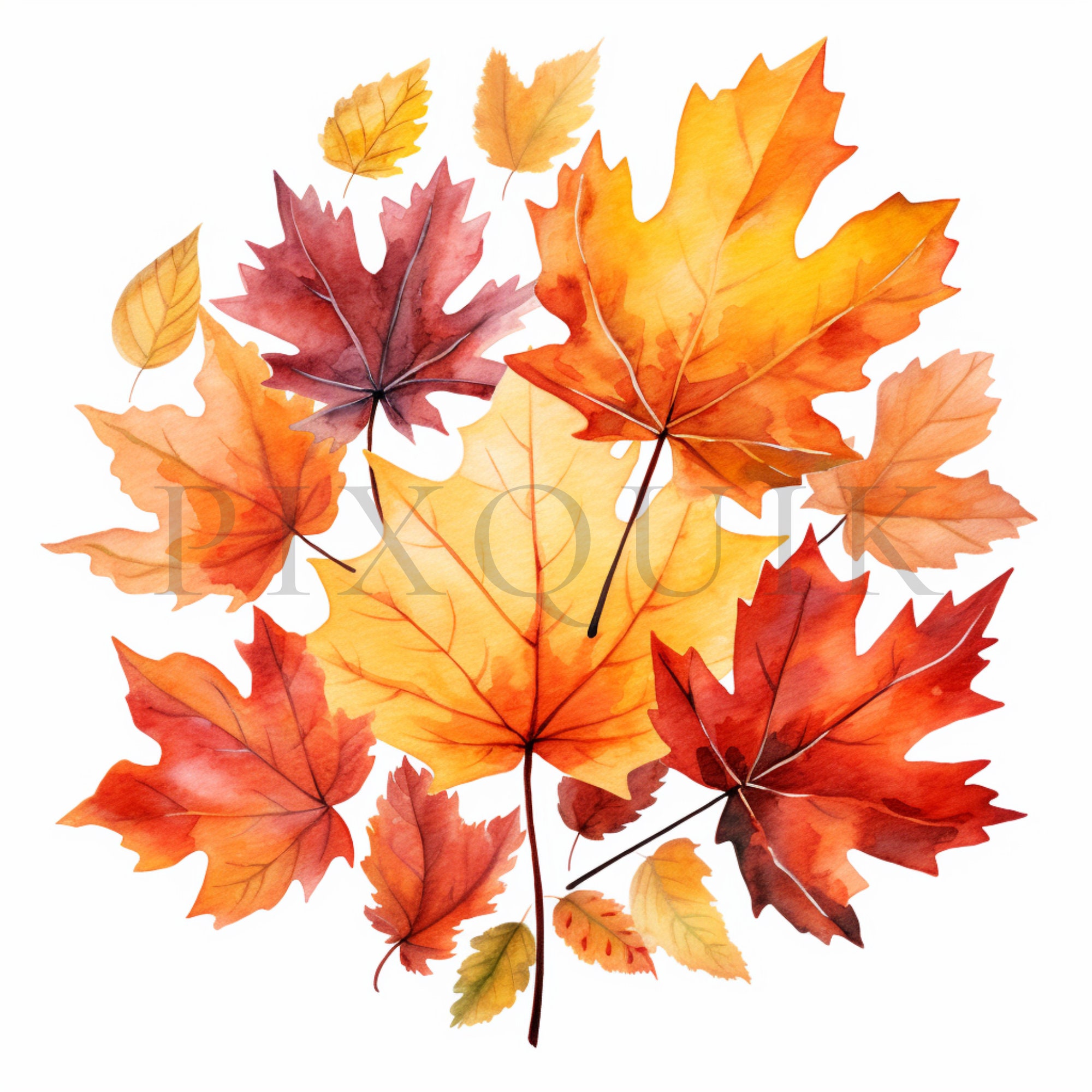 Autumn Leaves Clipart - 10 High Quality Jpgs | Digital Download ...