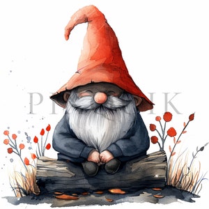 Watercolor Gnome Clipart | 10 High Quality Jpgs | Digital Download ...