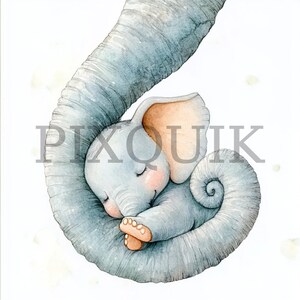 Sleeping Elephant Baby Boy Clipart | 21 High Quality Clipart | Adorable ...