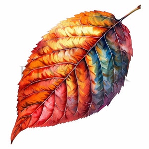 Fall Leaf Clipart | 10 Quality Jpgs | Digital Download | Digital Paper ...