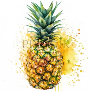Watercolor Pineapple Clipart | 10 High Quality Jpgs |fruit Clipart ...