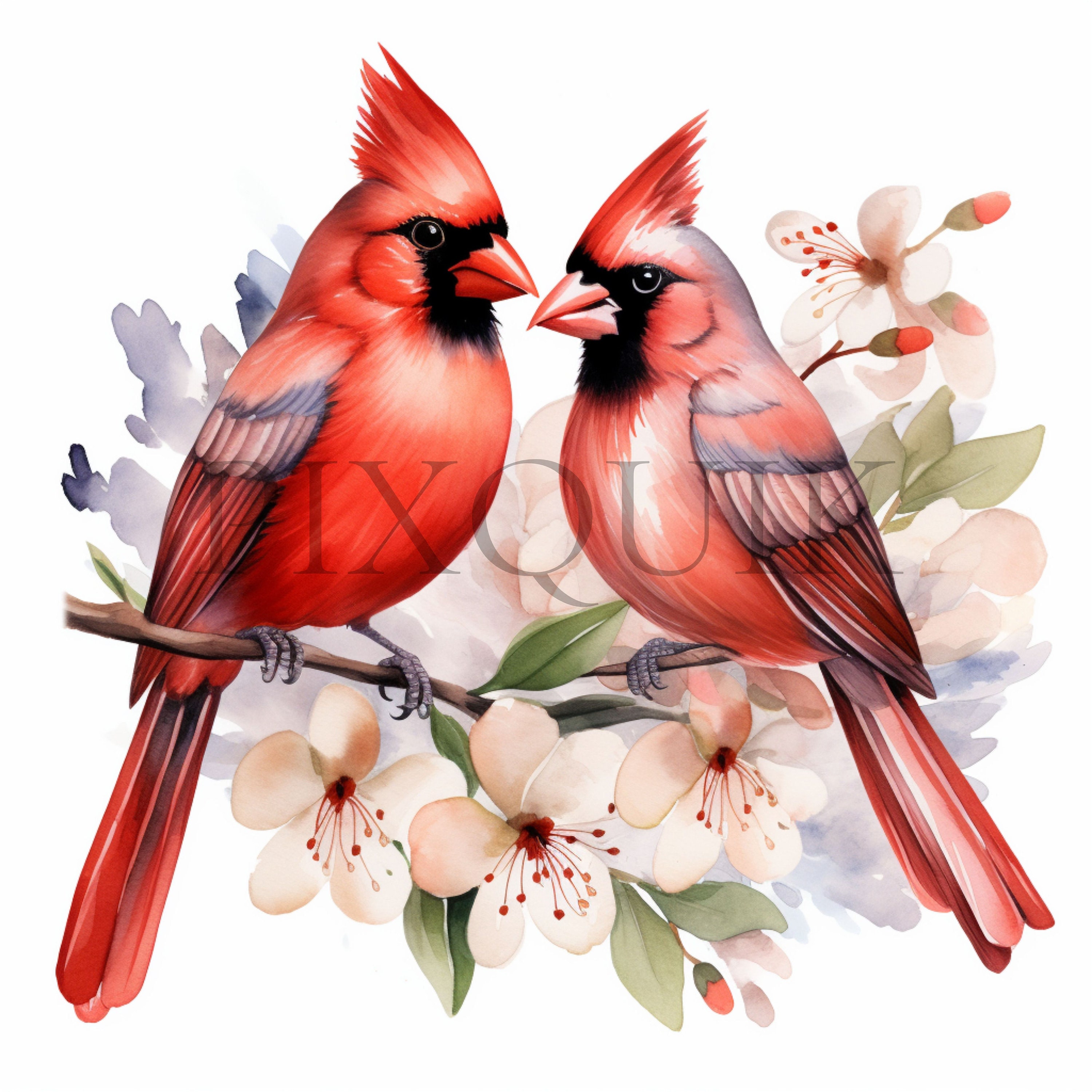Cardinal Friends Flowers Clipart 10 High Quality Jpgs Commercial Use ...