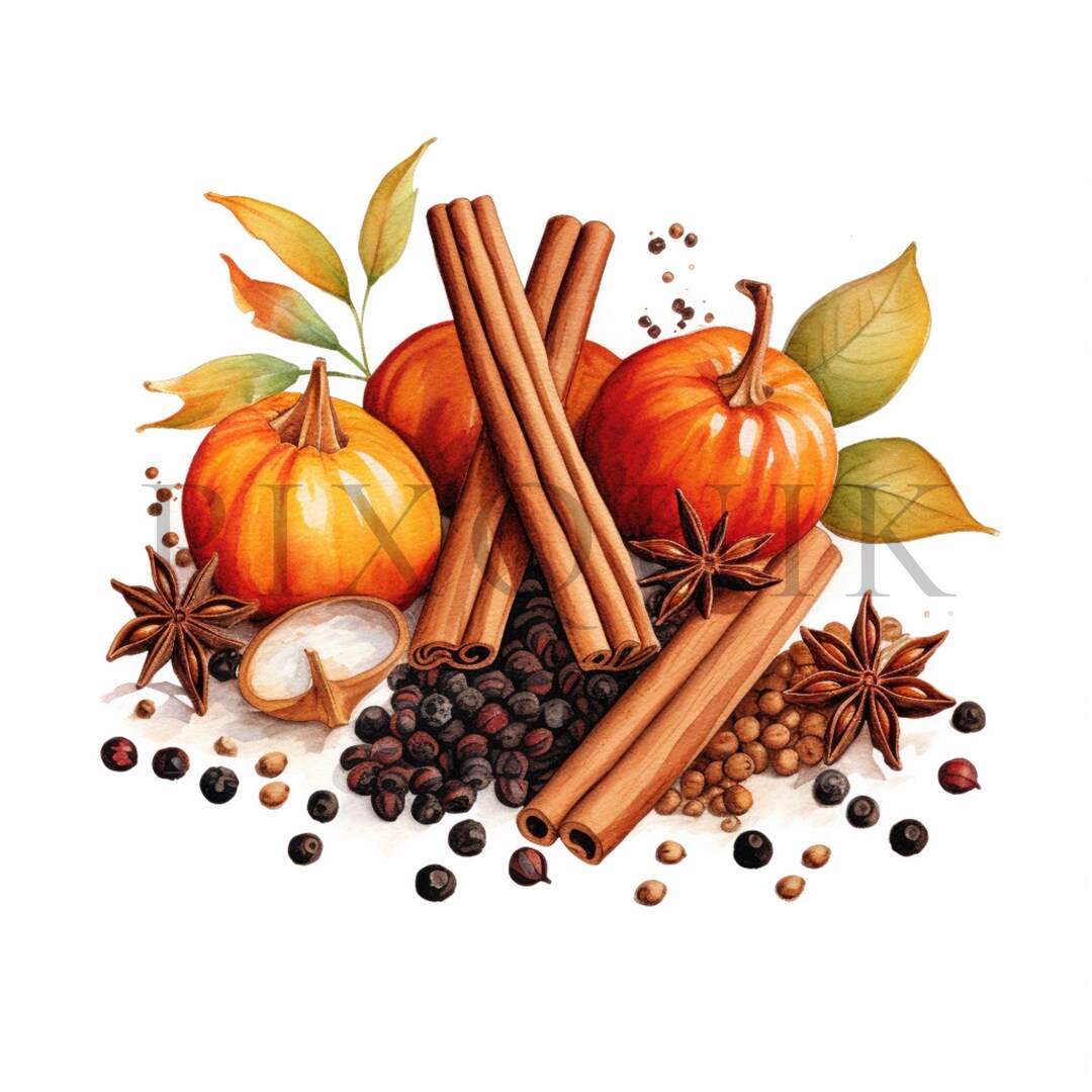 Autumn Spice Clipart | Pumpkin, Cinnamon, Anise (digital Download) - Etsy
