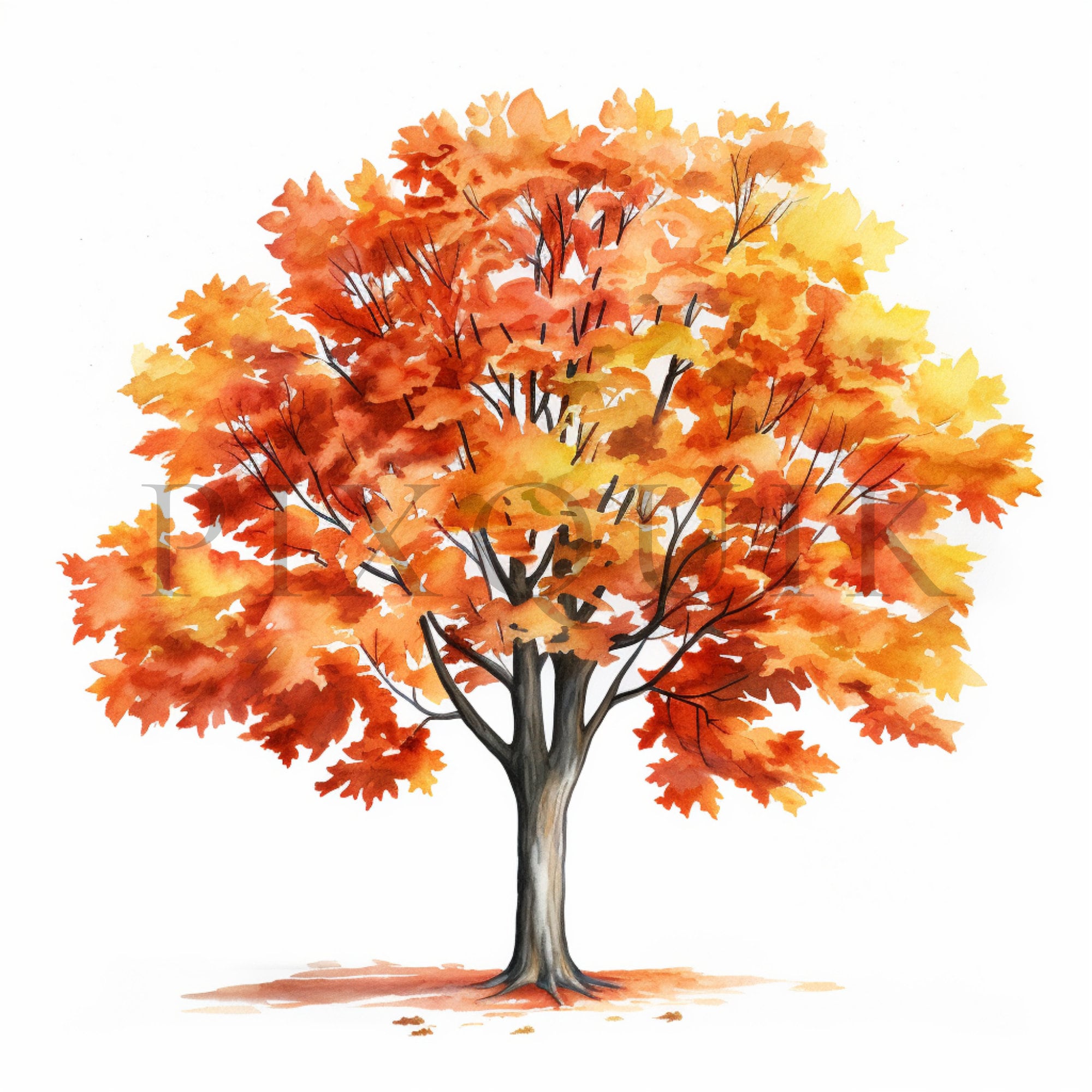 Fall Tree Clipart 10 High Quality Jpgs Digital Download Maple Tree ...