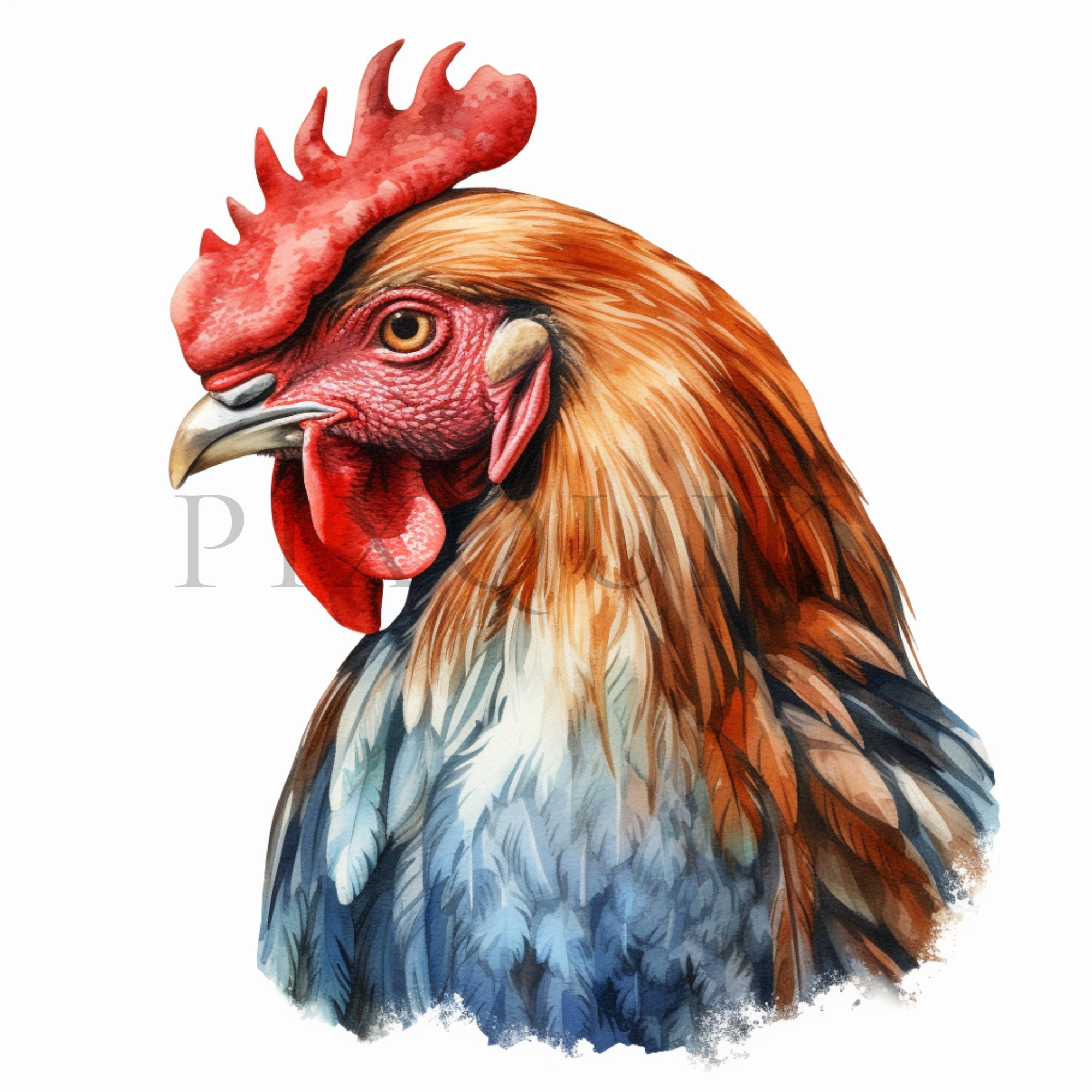 Watercolor Chicken Clipart 10 High Quality Jpgs Digital Download Cute ...