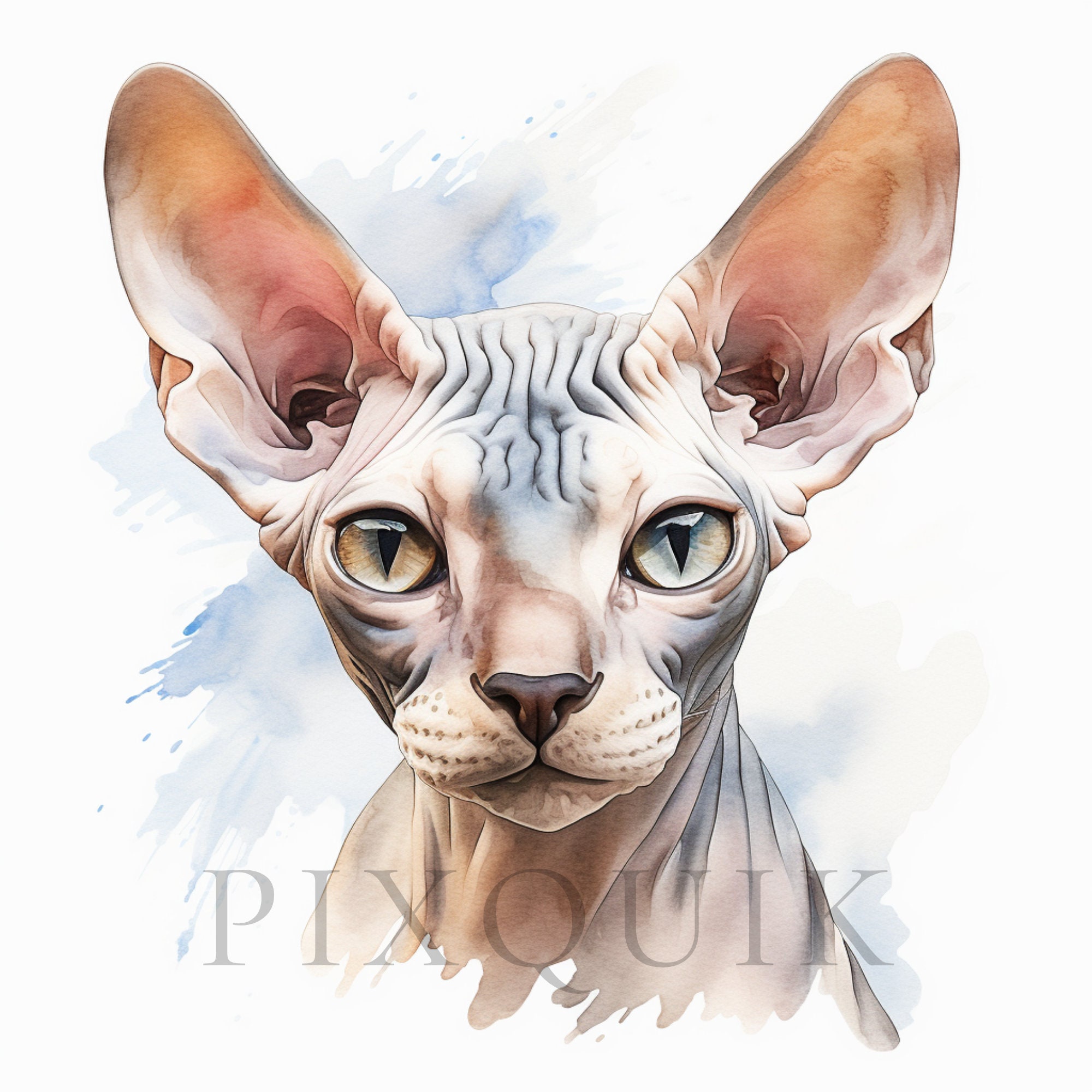 Watercolor Sphynx Cat Clipart 10 High Quality Jpgs Digital Download ...