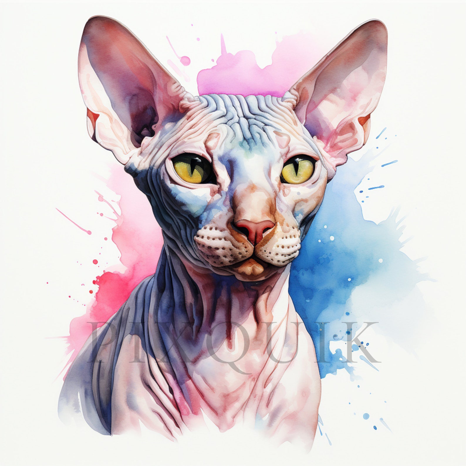Watercolor Sphynx Cat Clipart 10 High Quality Jpgs Digital Download ...