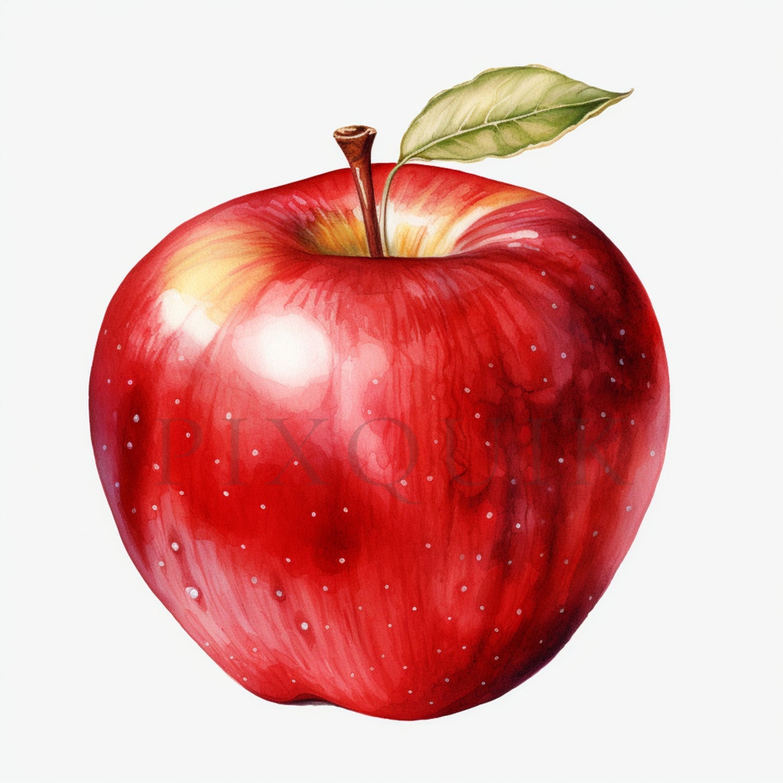 Apple Clipart | 10 High Quality Jpgs | Digital Download | Apple ...