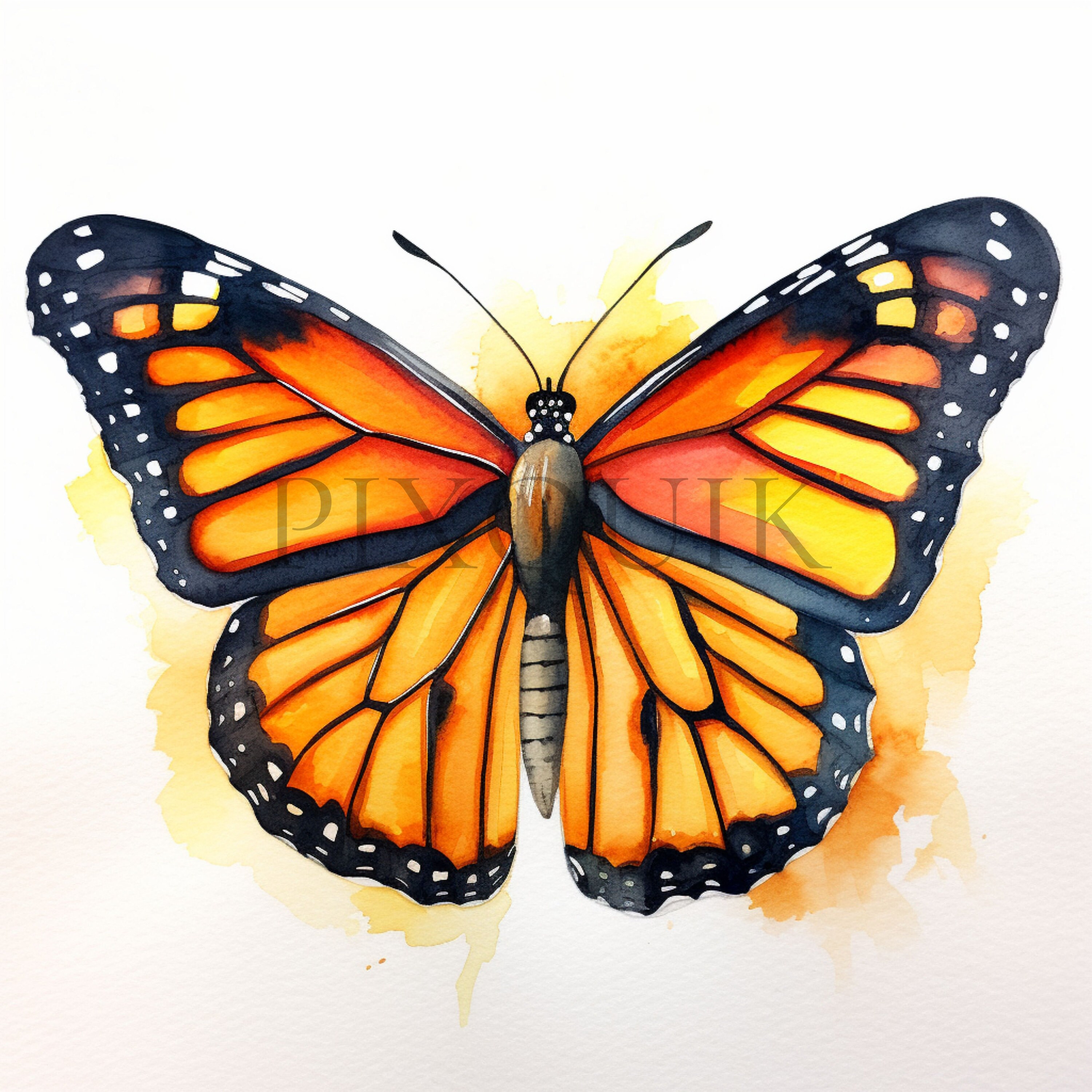 Watercolor Monarch Clipart | 10 High Quality Jpgs | Monarch Butterfly ...