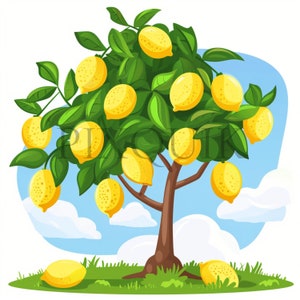Lemon Tree Clipart | 10 High Quality Jpgs | Lemon Tree Image | Lemon ...