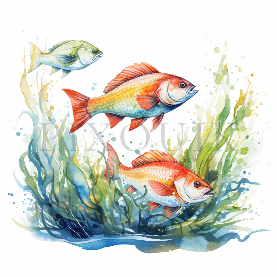 Aquarium Fish Clipart 10 High Quality Jpgs Watercolor Fishing Clipart ...