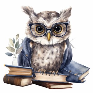 Watercolor Owl Clipart for Teachers | 10 High Quality Jpgs | Owl ...