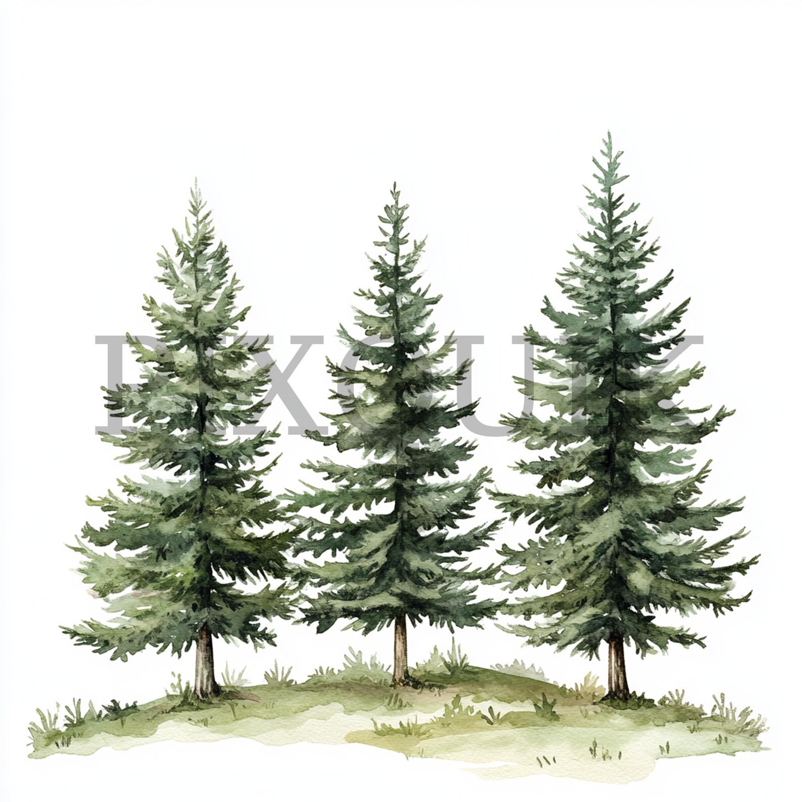 Watercolor Pine Tree Clipart: Nature Illustration (47 JPG Files) - Etsy