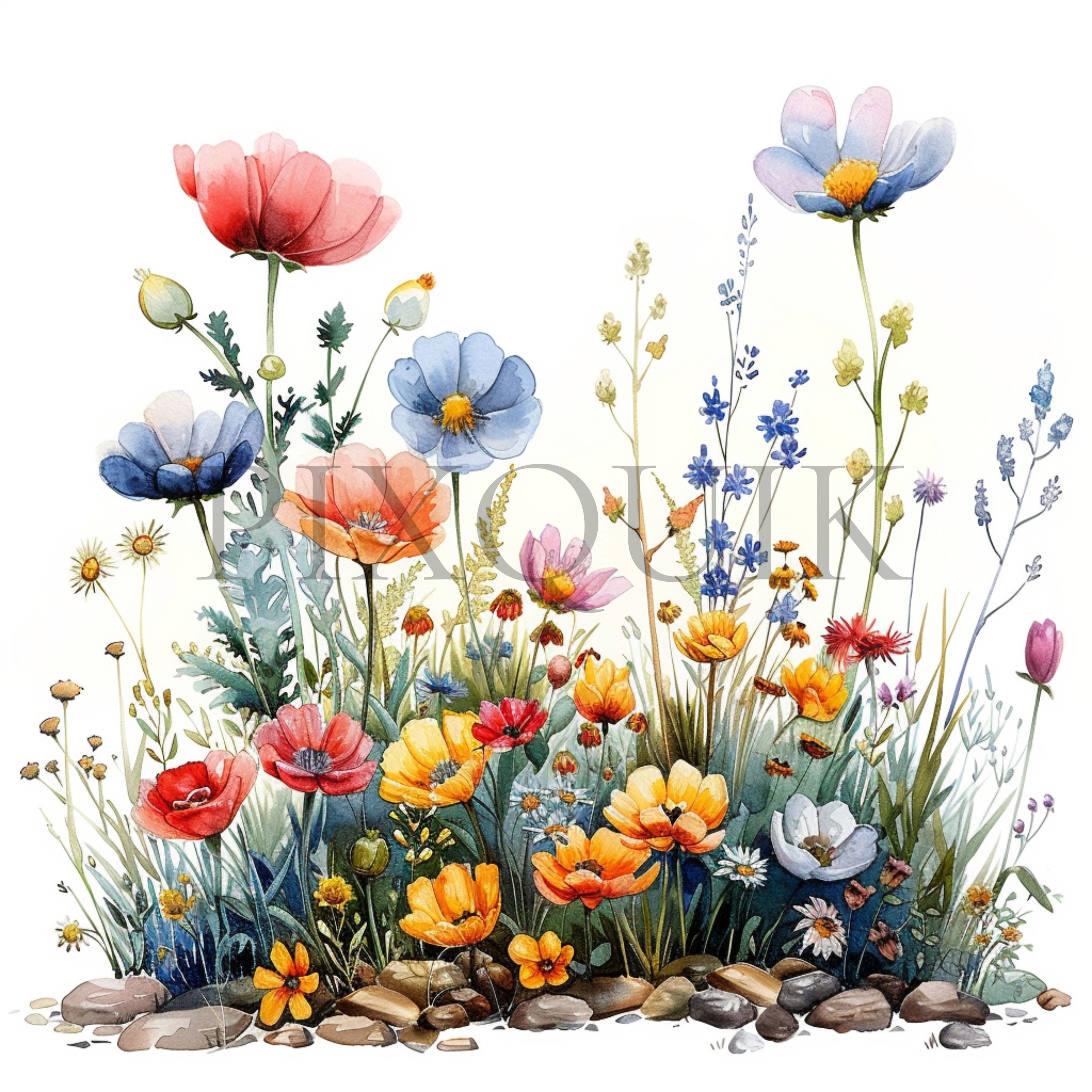 Wildflower Flowerbed Clipart | 10 High Quality Jpgs | Printable Floral ...