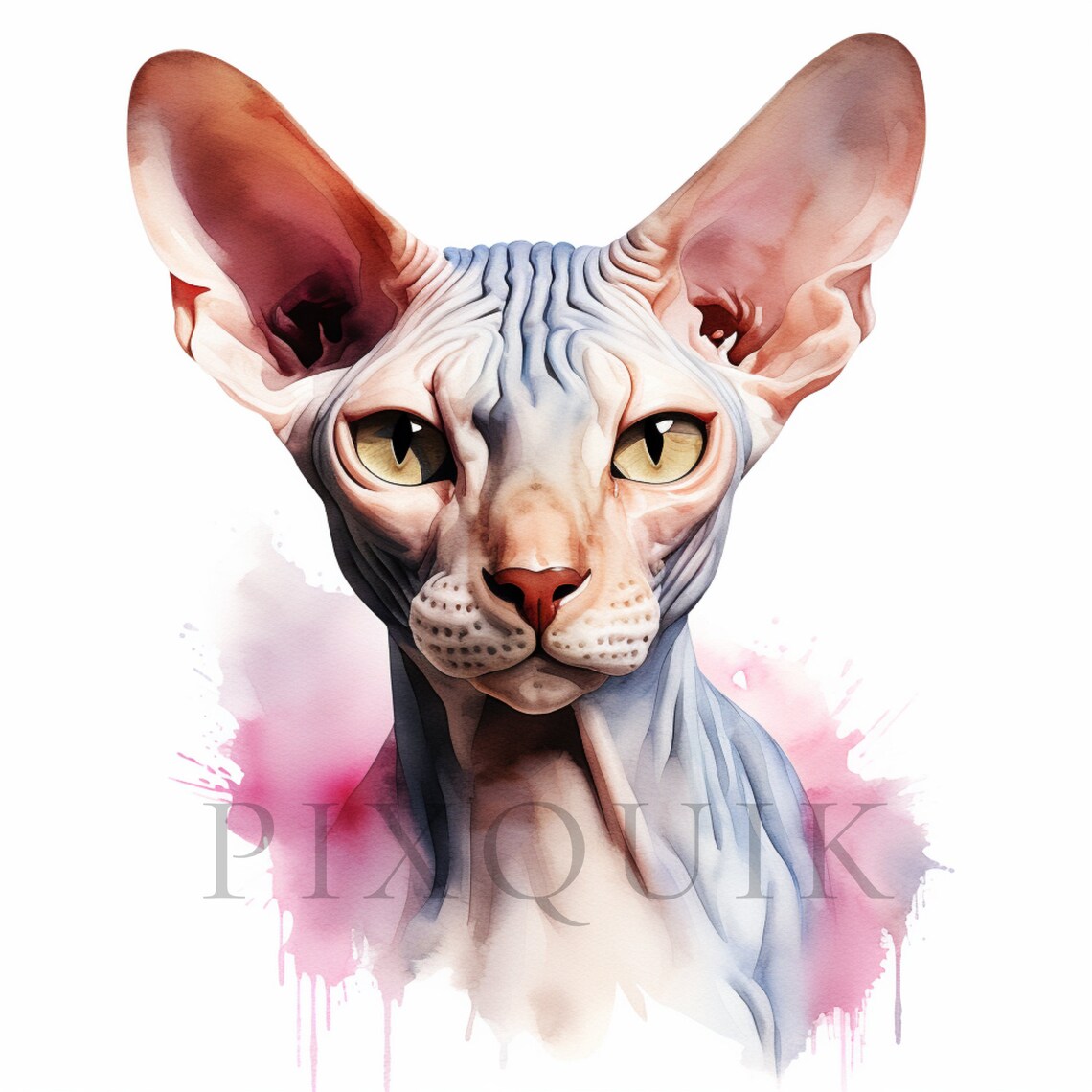 Watercolor Sphynx Cat Clipart 10 High Quality Jpgs Digital Download ...