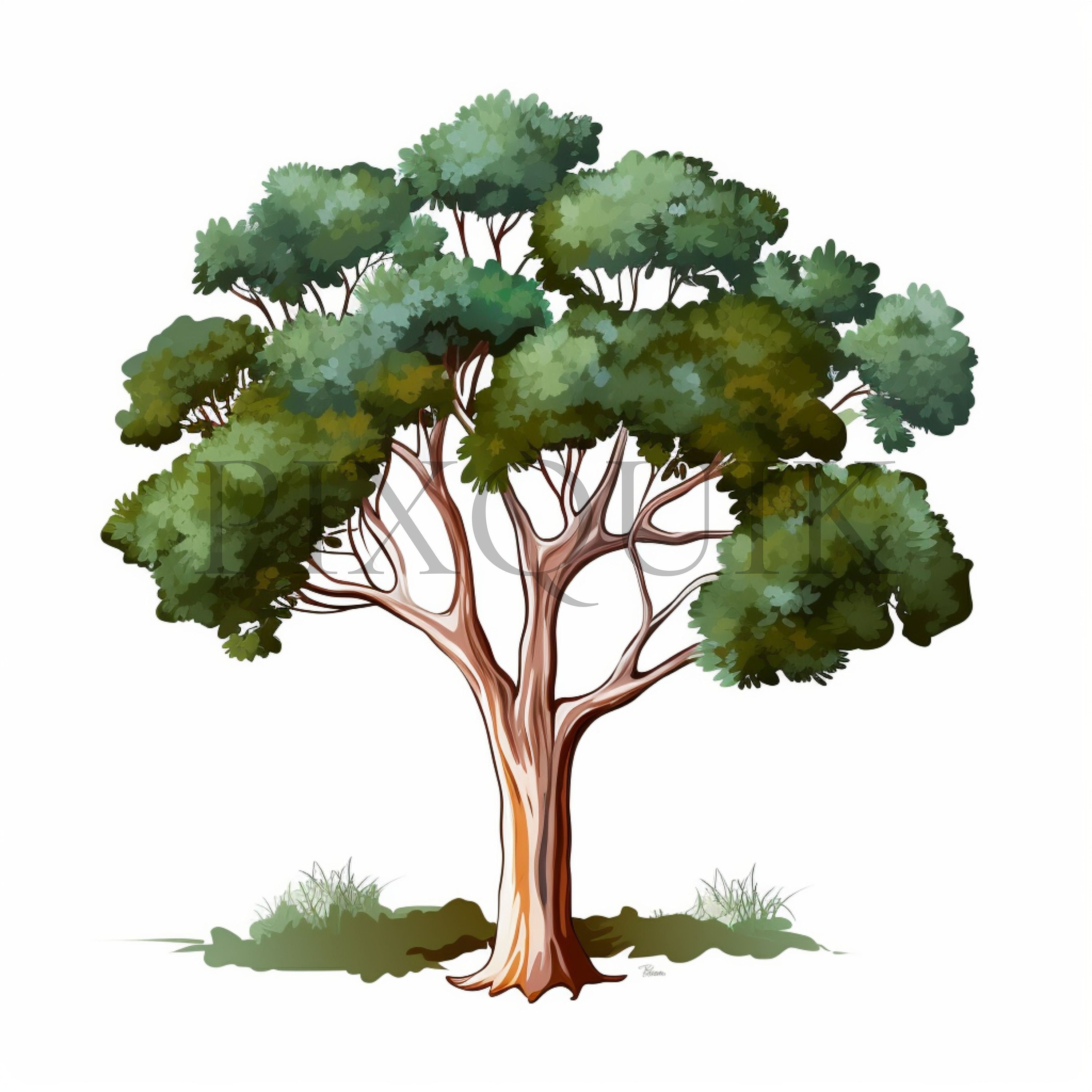 Gum Tree Clipart Tree Clipart 10 High Quality JPG Gum Tree Illustration ...