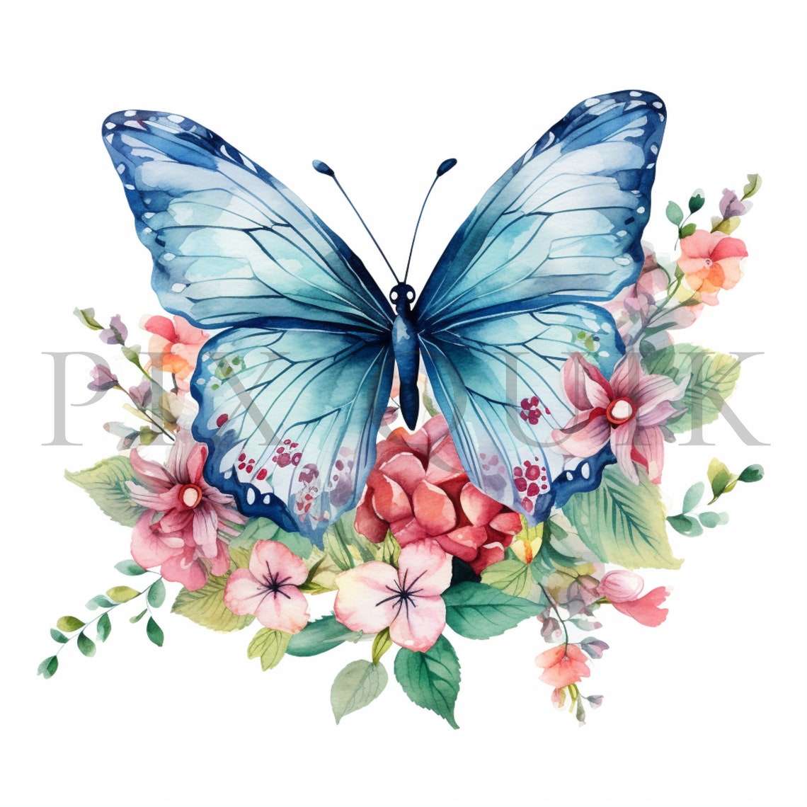 Floral Watercolor Butterfly Clipart 10 High Quality Jpgs Printable ...