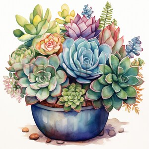 Potted Succulents Clipart | High-resolution JPG Art (digital Download ...