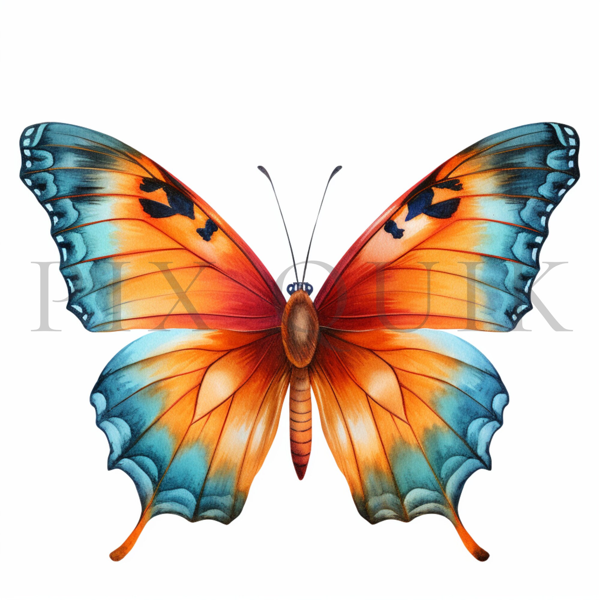 Butterfly Clipart 10 High Quality Jpgs Printable Butterfly Clipart ...