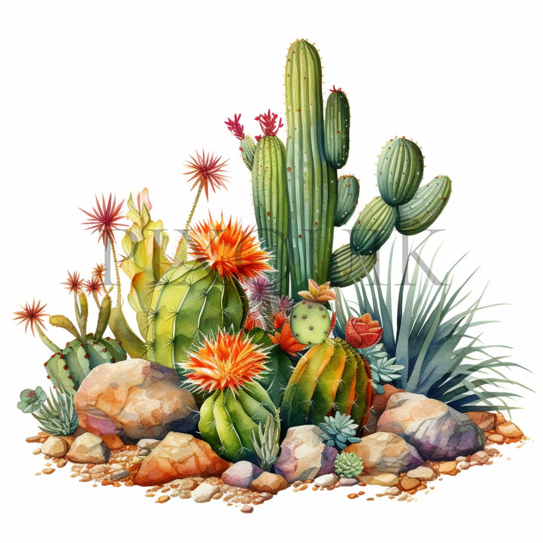 Watercolor Cactus Clipart | Desert Flora Illustrations (jpgs) - Etsy
