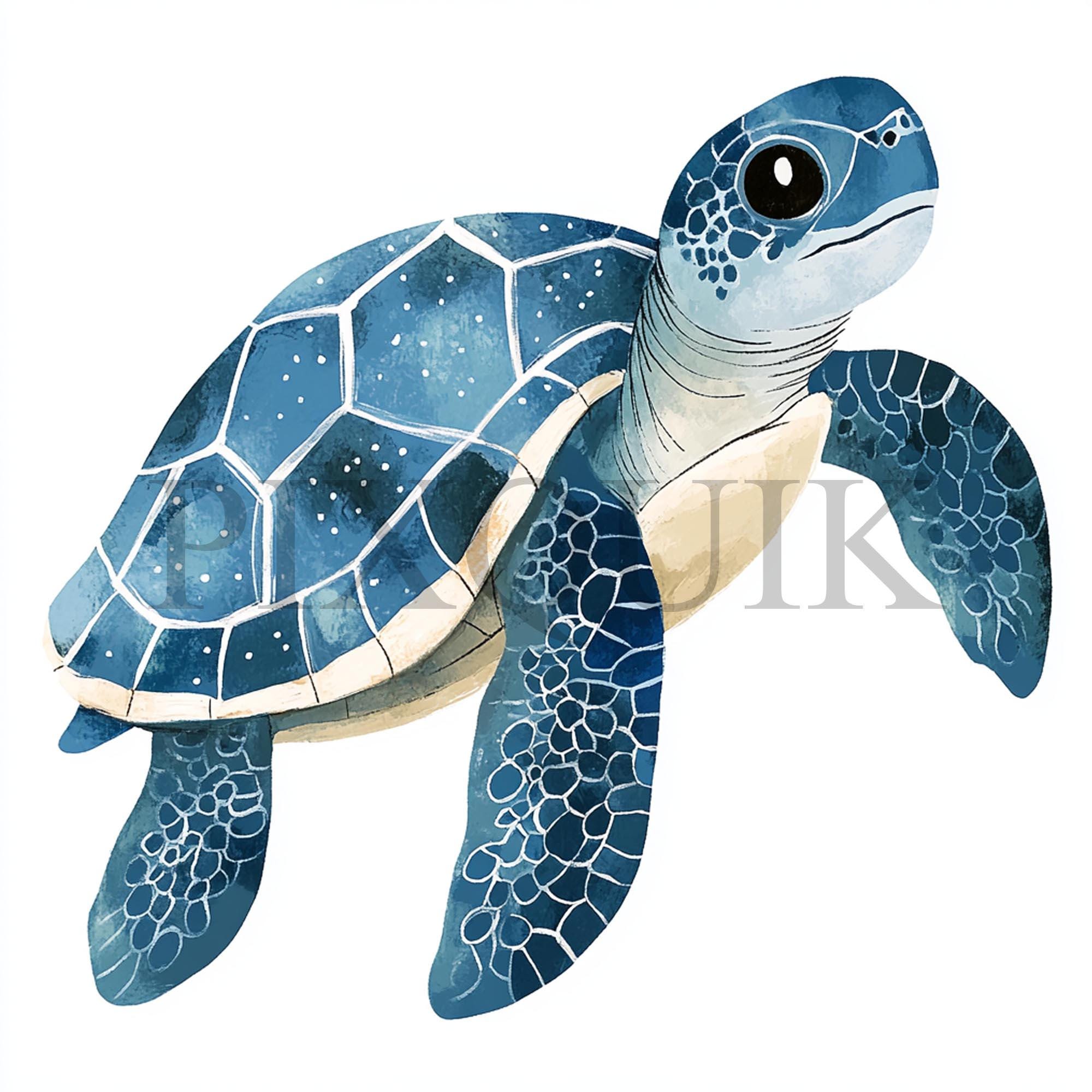 Watercolor Sea Turtle Clipart: Ocean Life Illustration (10 JPG & PNG ...